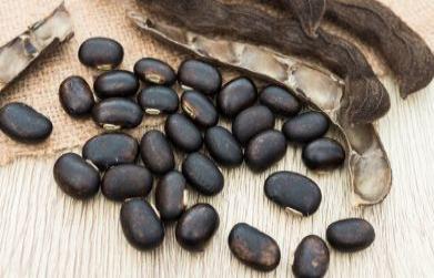 Medicinal Benefits of Kaunch beej (Mucuna pruriens) – Dhanwantri ...